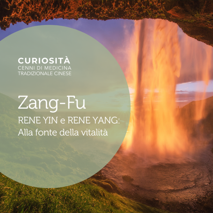 Rene Yin-Rene Yang: alla fonte della vitalità :: Shiatsubenessere